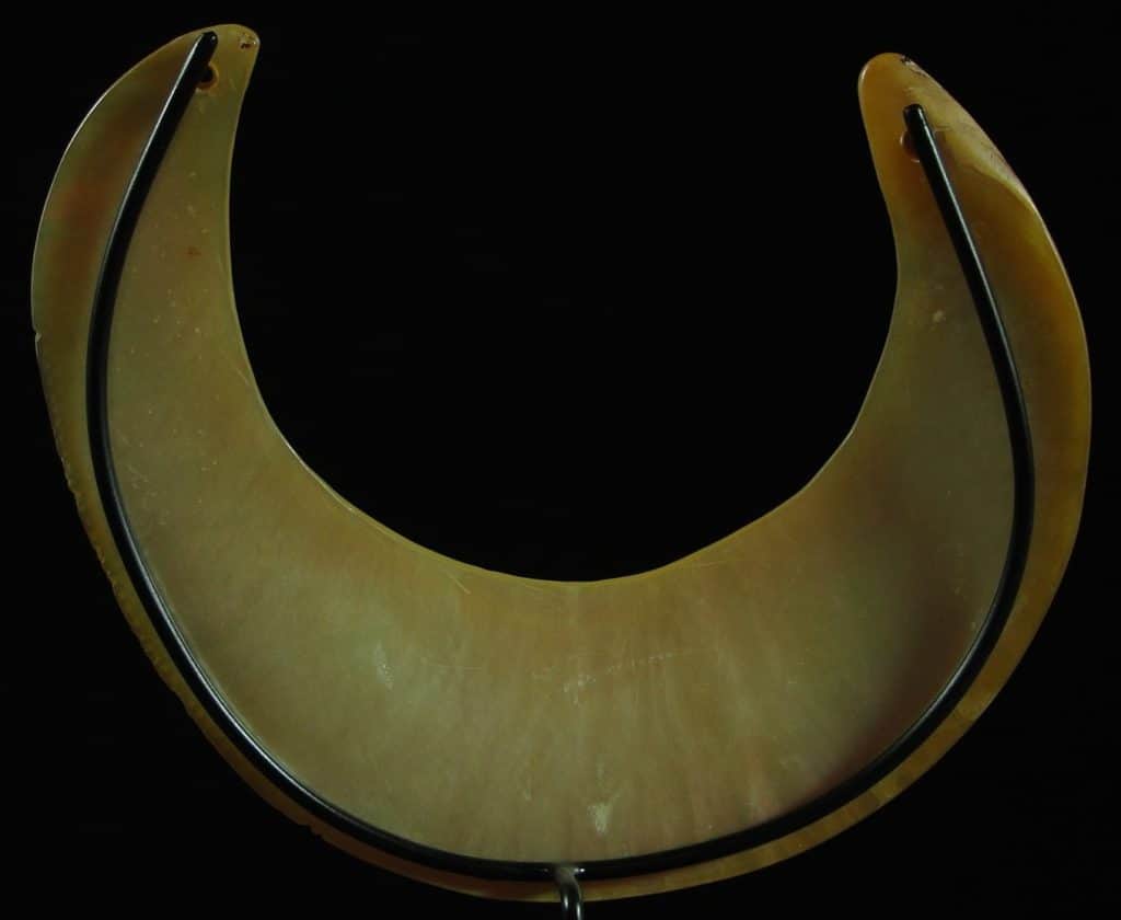 Kina shell | gulf kina shell | new guinea kina shell | kina shell for sale