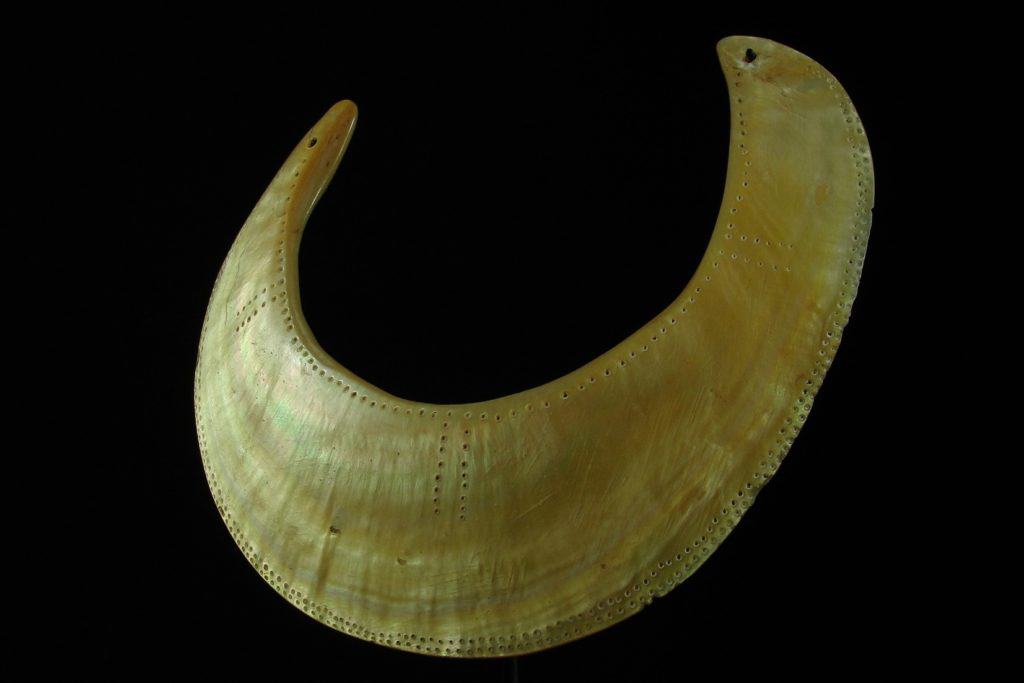 Kina shell | gulf kina shell | new guinea kina shell | kina shell for sale