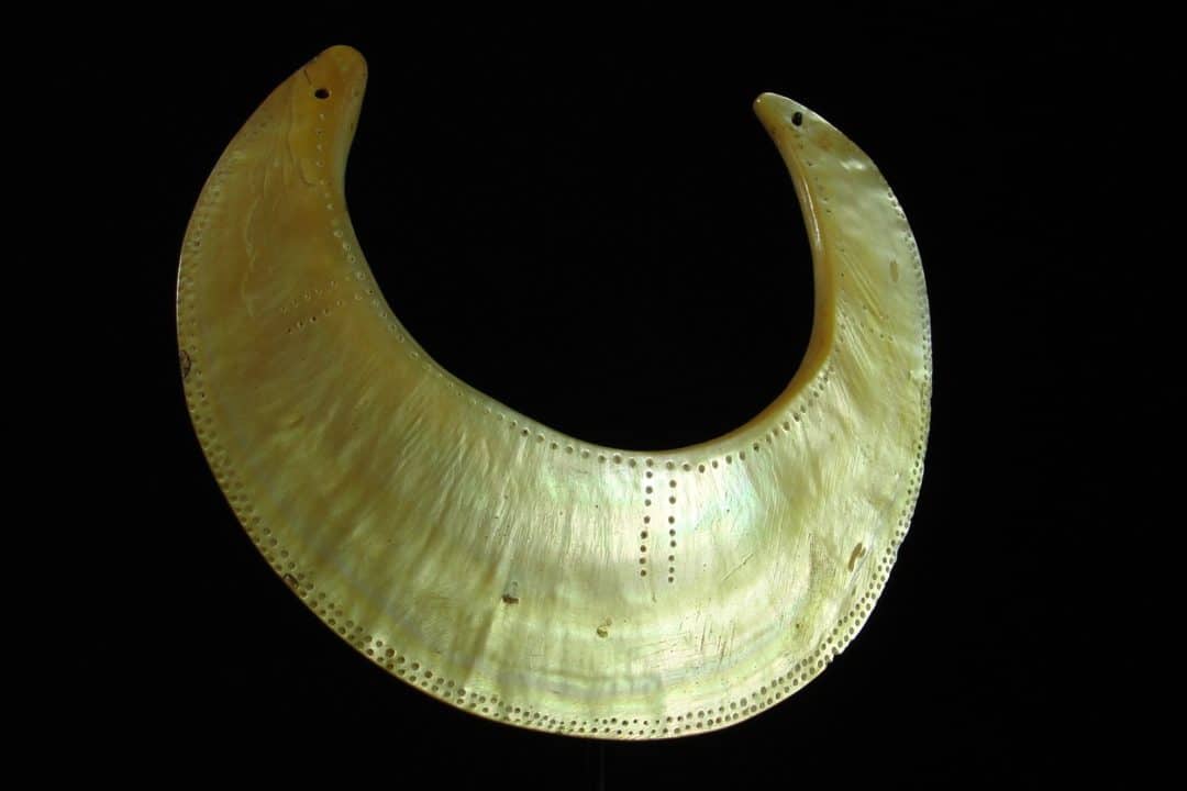 Kina shell | gulf kina shell | new guinea kina shell | kina shell for sale