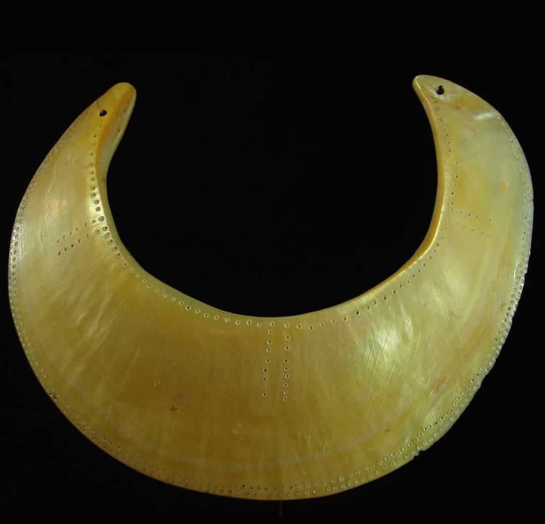 Kina shell | gulf kina shell | new guinea kina shell | kina shell for sale