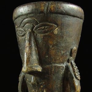 Kina shell | gulf kina shell | new guinea kina shell | kina shell for sale