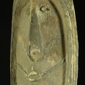 Kina shell | gulf kina shell | new guinea kina shell | kina shell for sale