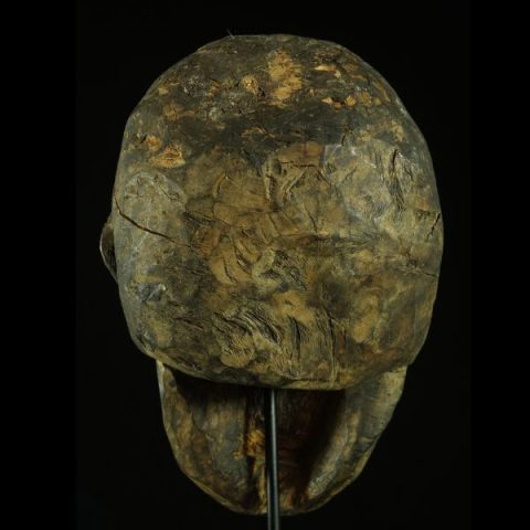 Sepik Replacement Skull | wooden replacement skull