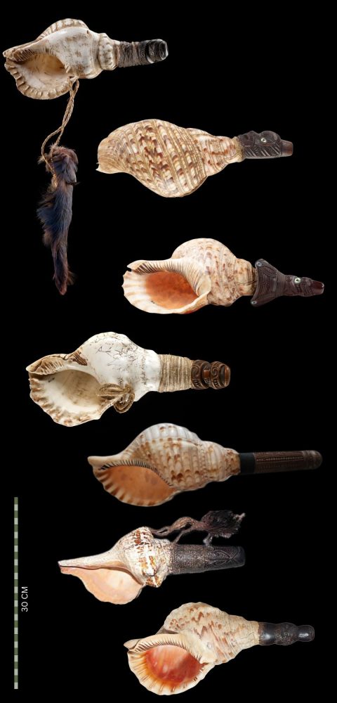 Maori Putorino - new guinea tribal arts